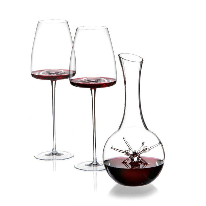 Zieher Star Mini Decanter & Vision Straight Wine Glasses Gift Set Bund